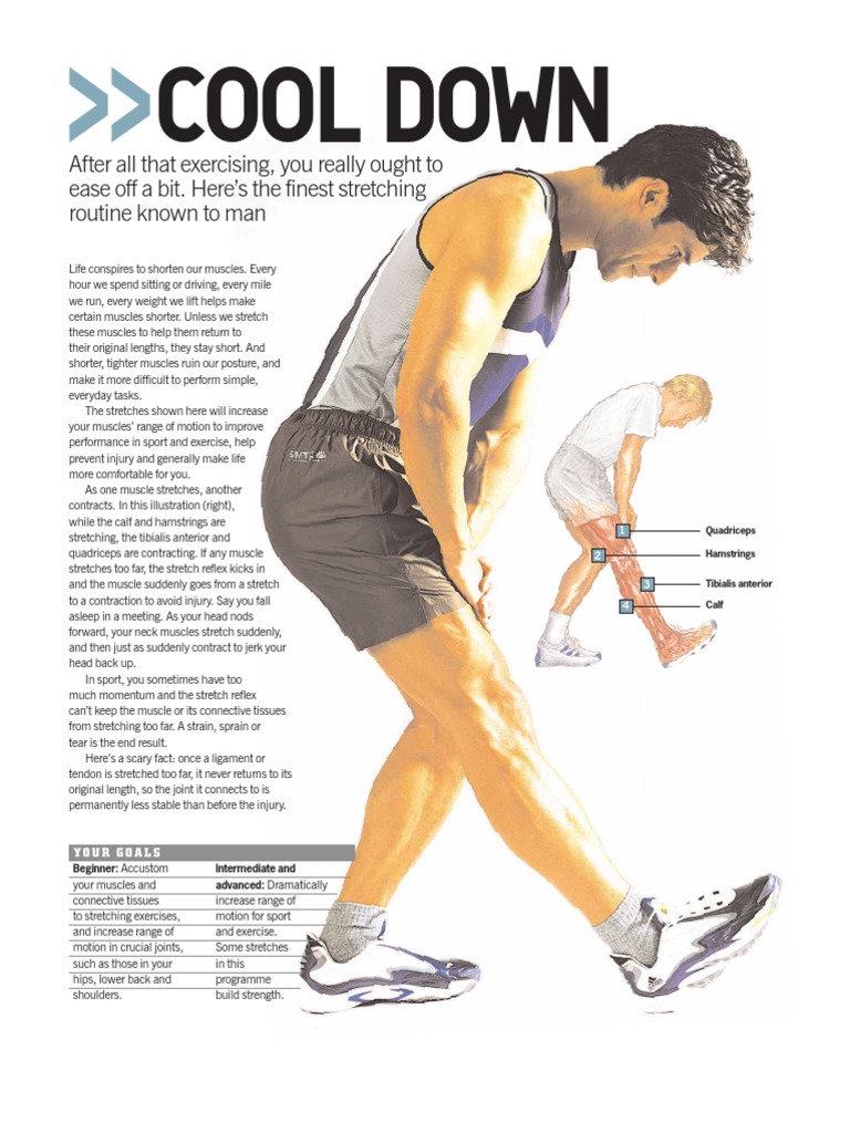 Martial Arts - Stretching - Workout | PDF | Flexibility (Anatomy ...