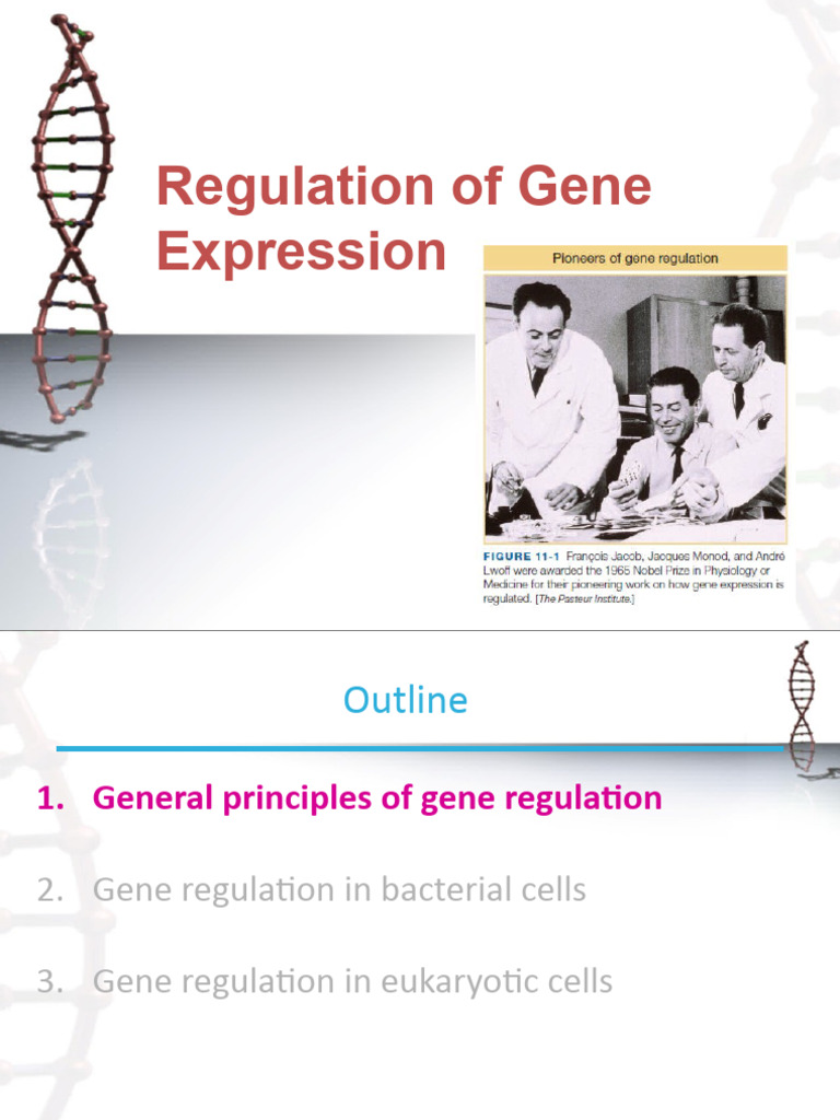 MG S1 2021 - L2 - Gene Regulation | PDF | Operon | Regulation Of Gene ...