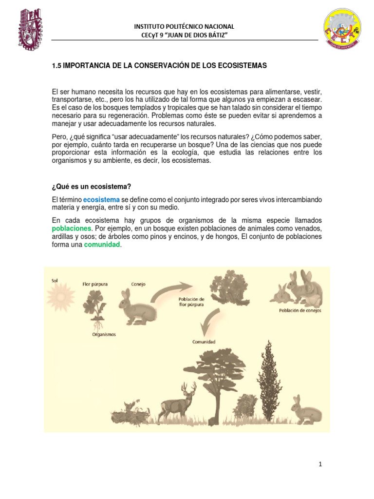 1.5 IMPORTANCIA DE LA CONSERVACIÓN DE LOS ECOSISTEMAS | PDF | Agua | Red alimentaria