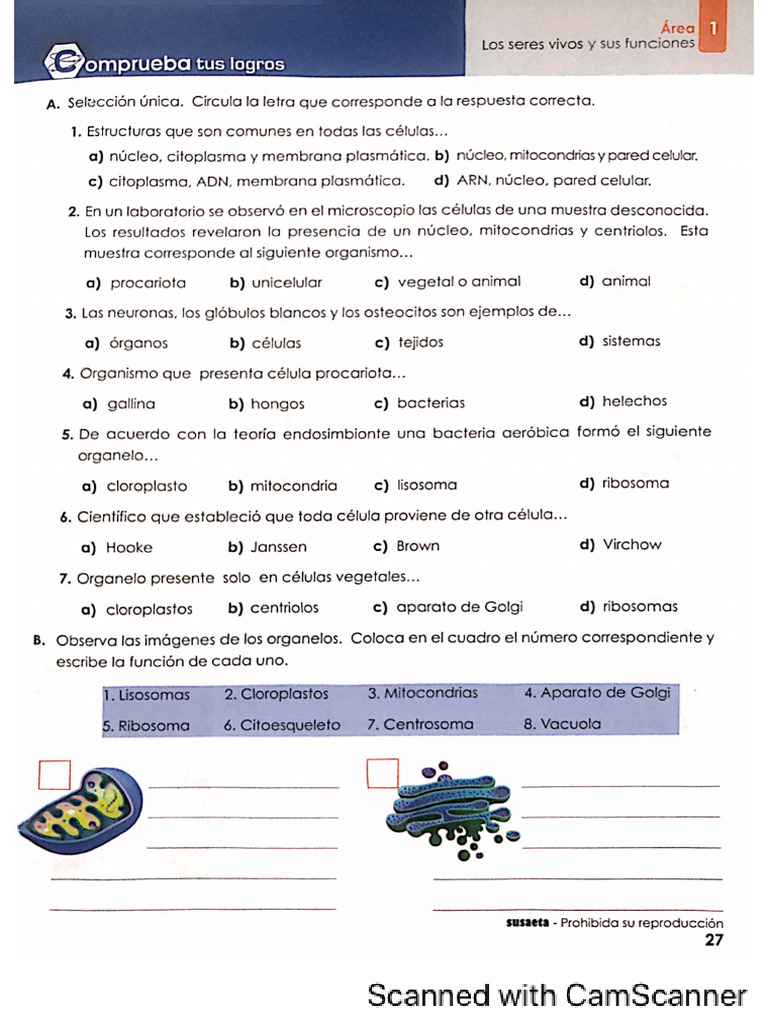 Actividad Del Libro - La Cellula | PDF