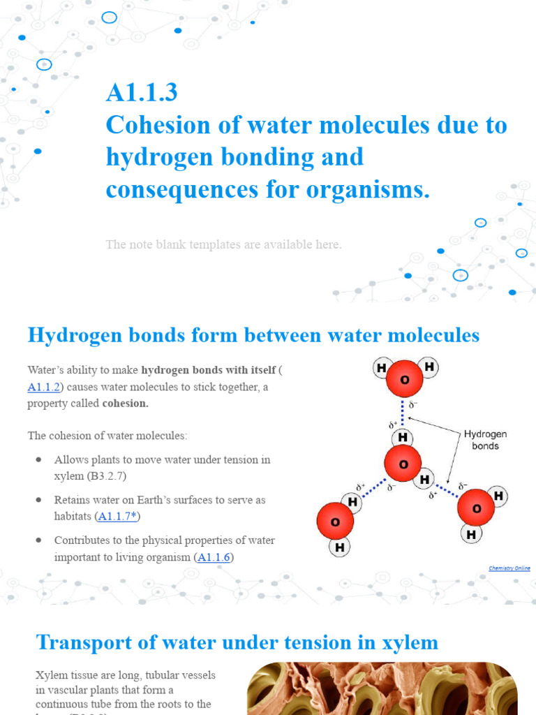 IB Biology (2025)_A1.1.3_ | PDF | Organisms | Chemistry