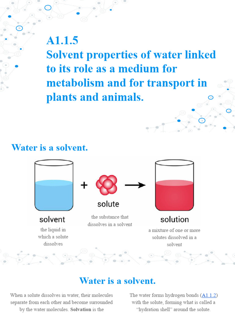 IB Biology (2025) - A1.1.5 | PDF | Solvation | Water