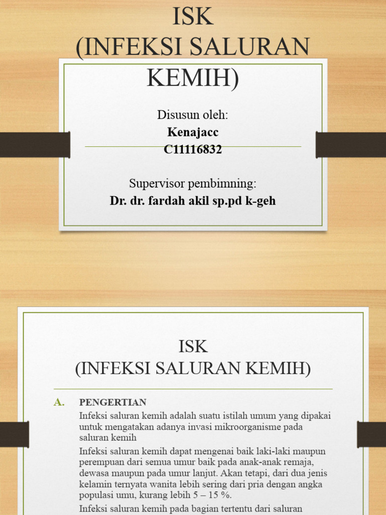 Panduan Lengkap Infeksi Saluran Kemih | PDF