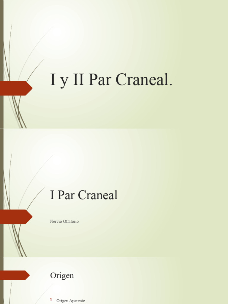 02 401249066-Primer-Par-Craneal | PDF | Percepción visual | Color
