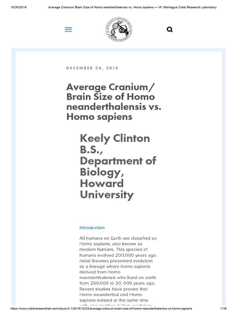 Average Cranium - Brain Size of Homo Neanderthalensis vs. Homo Sapiens ...