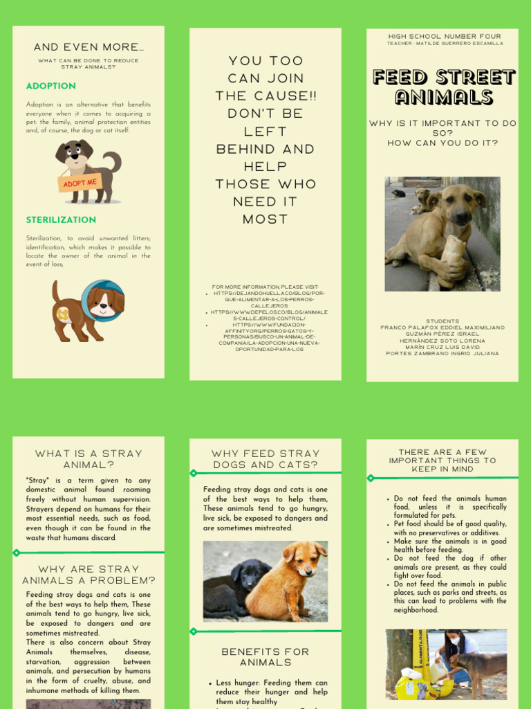 Triptico Ingles | PDF | Dogs | Cats