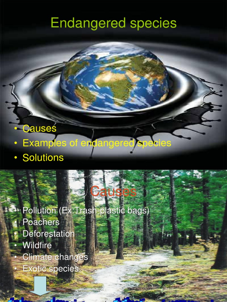 Causes - Examples of Endangered Species - Solutions | PDF | Science ...