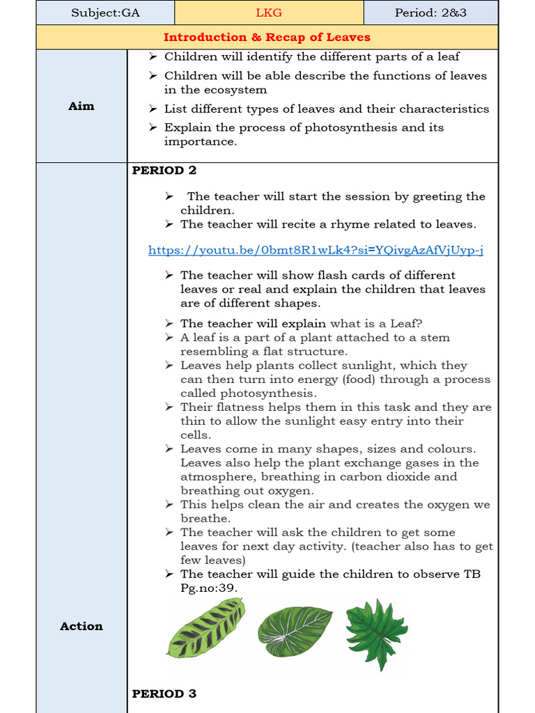 P2&3 Intro & Recap of Leaves Nov 2 | PDF
