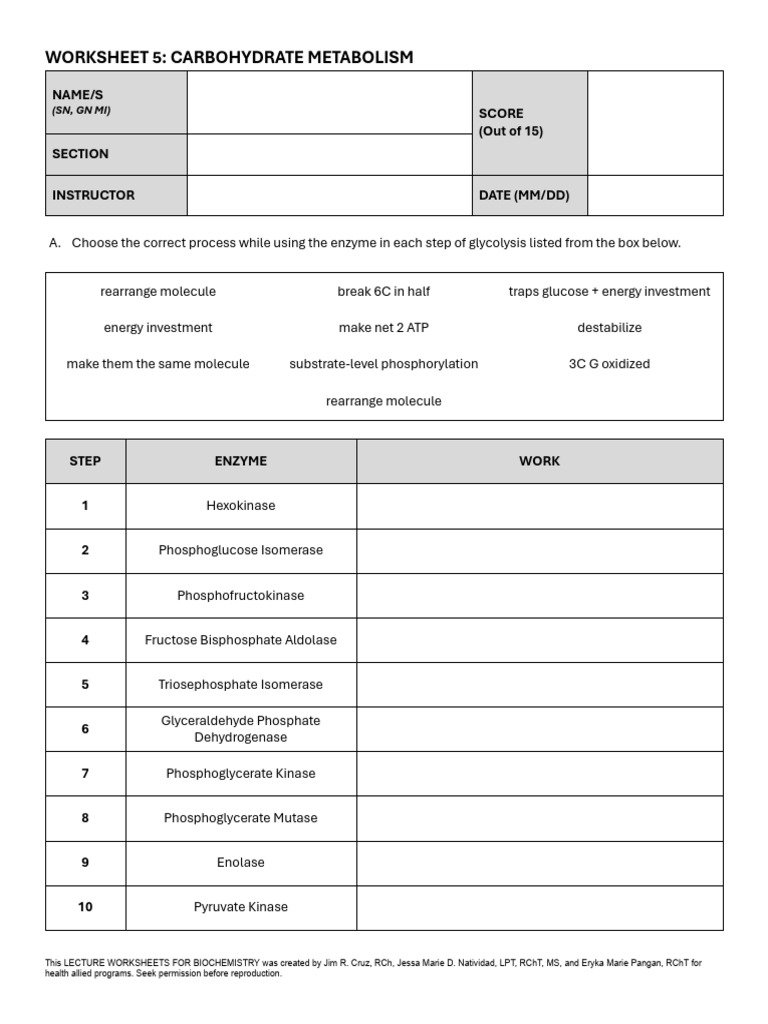 Biochemistry Worksheet: Glycolysis | PDF | Glycolysis | Enzyme
