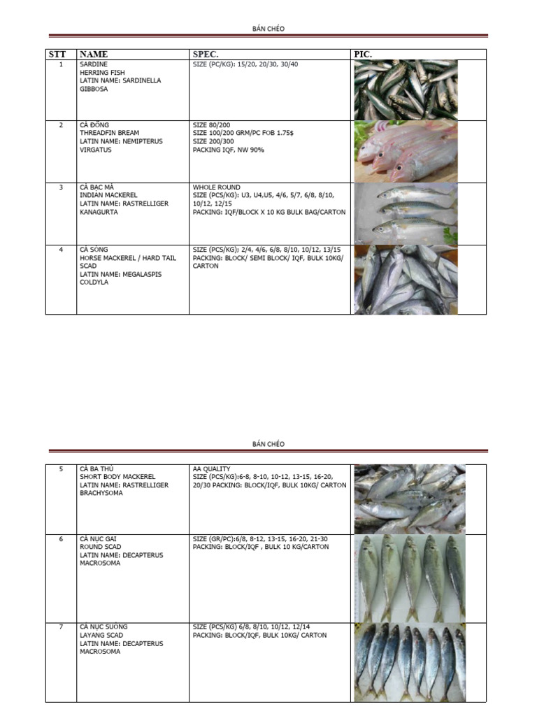 Tong Hop Quy Cach CA Bien | Download Free PDF | Fish | Fish And Humans