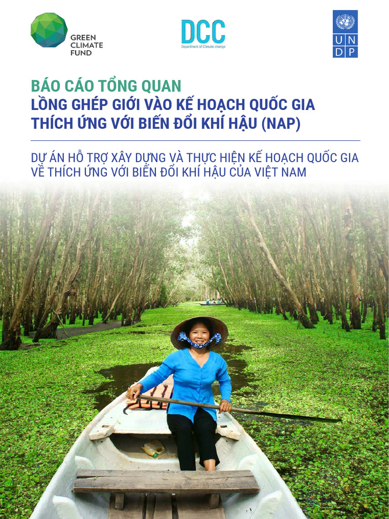Background Report Gender Mainstreaming Of The NAP VN Small PDF