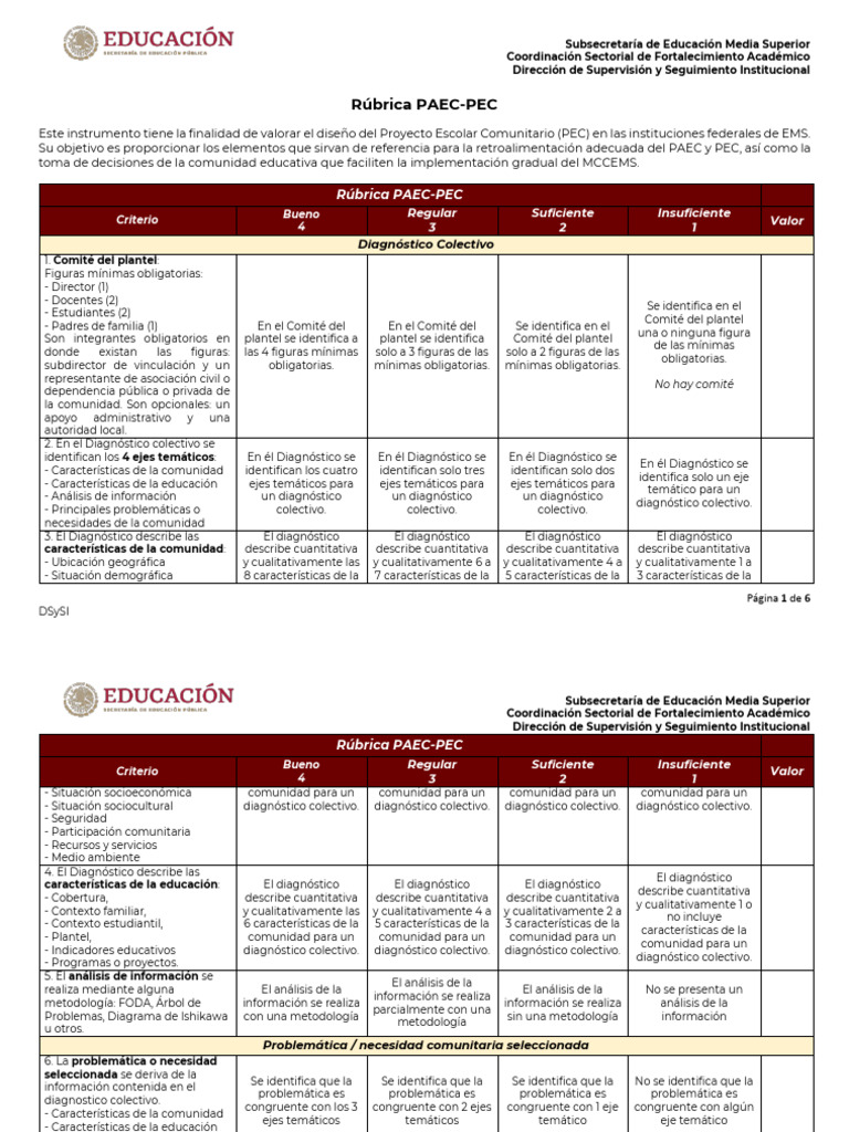 RUBRICA PAEC_PEC 2024 | PDF | Evaluación