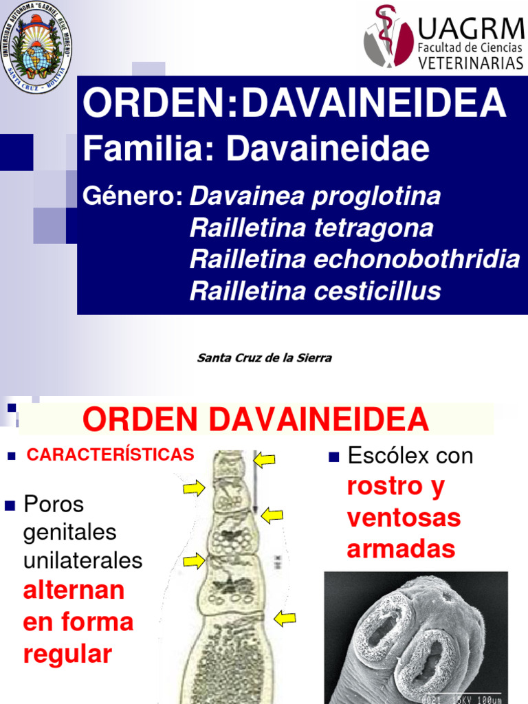 Teniasis en Aves: Davainea y Railletina | PDF | Medicina CLINICA ...