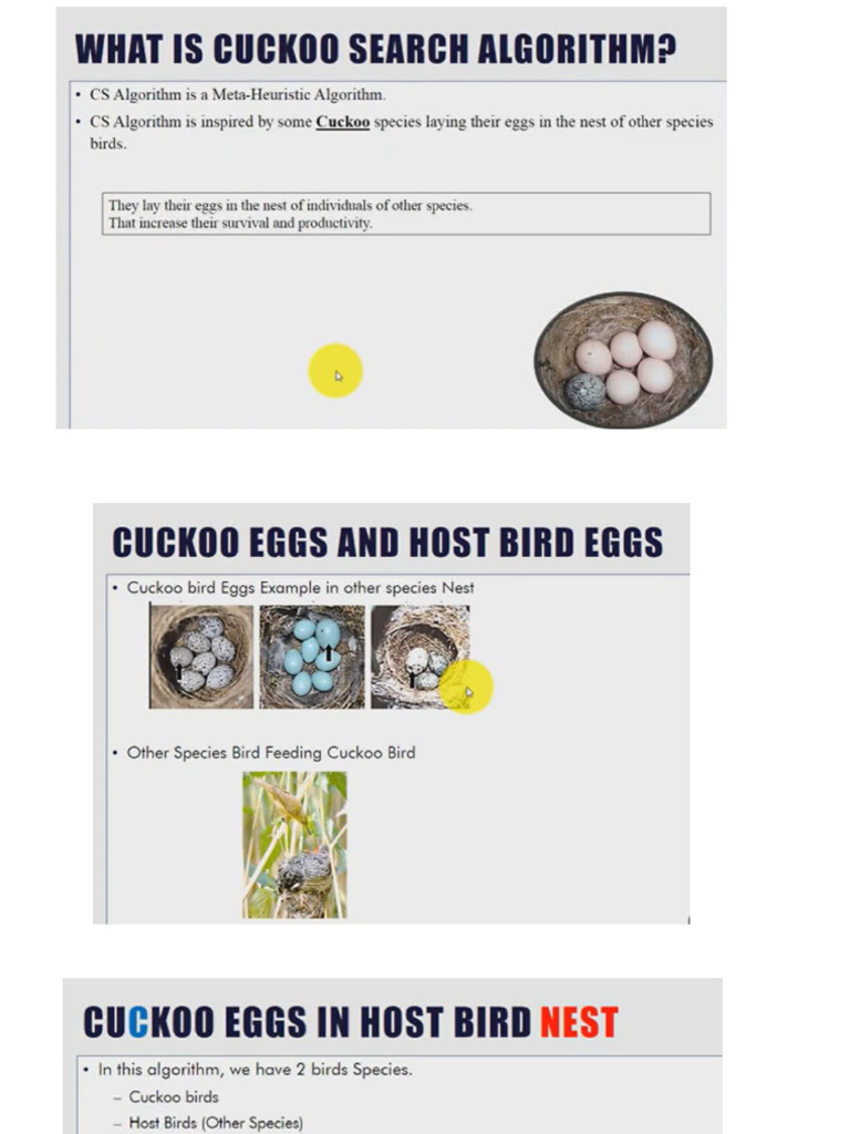 Cuckoo Search Algorithm | PDF