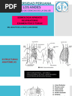 Escala de Disnea MRC Modificada | PDF