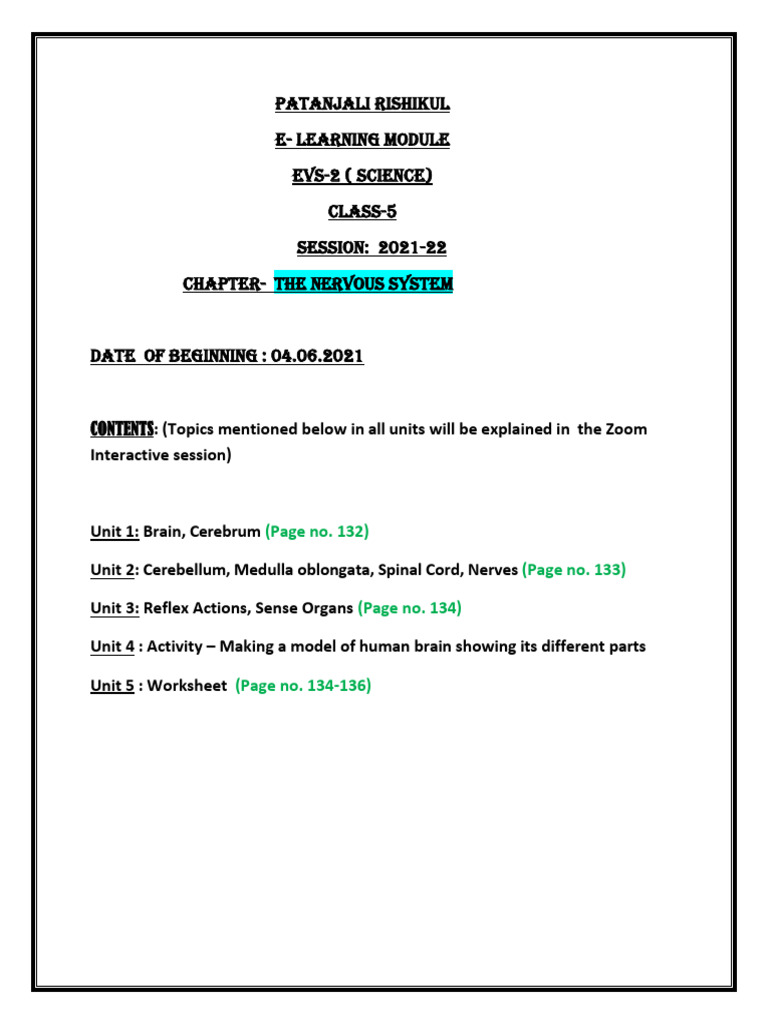 Nervous System Class 5 2 Pdf Brain Brainstem