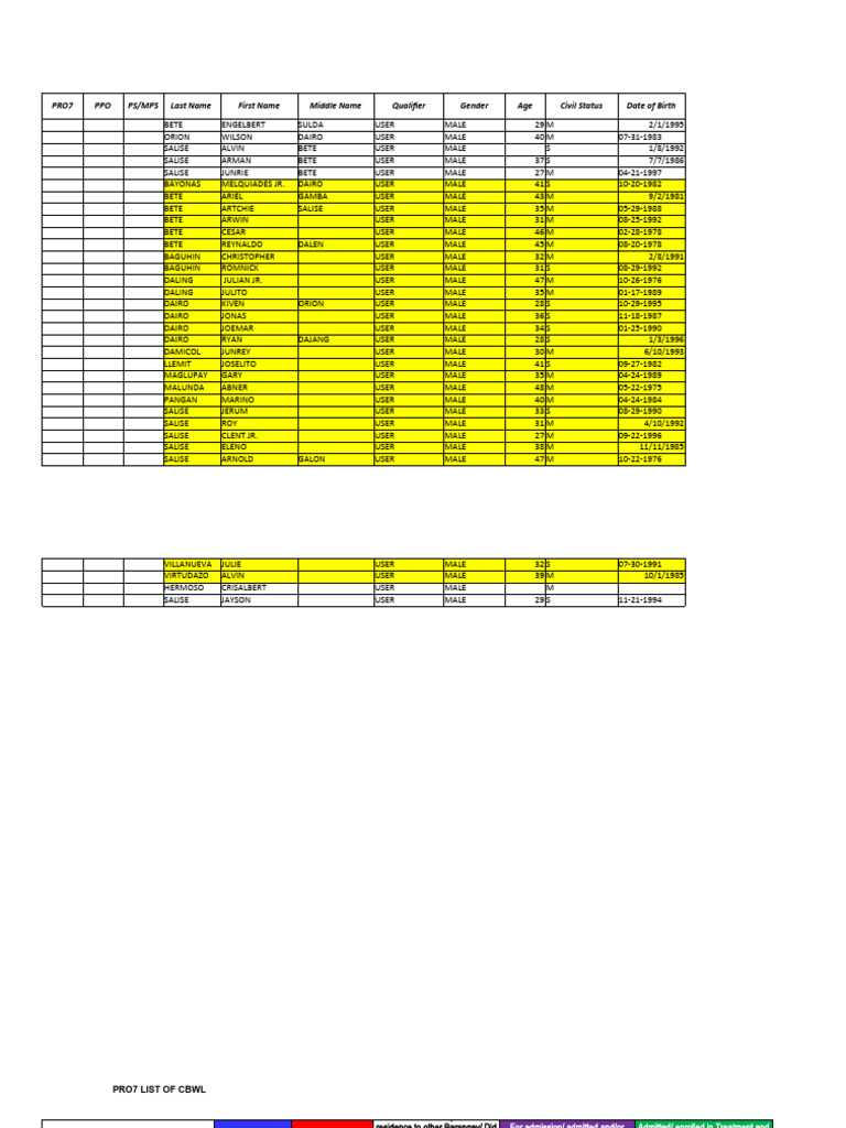 Barangay Magsaysay Badac Updated List | PDF