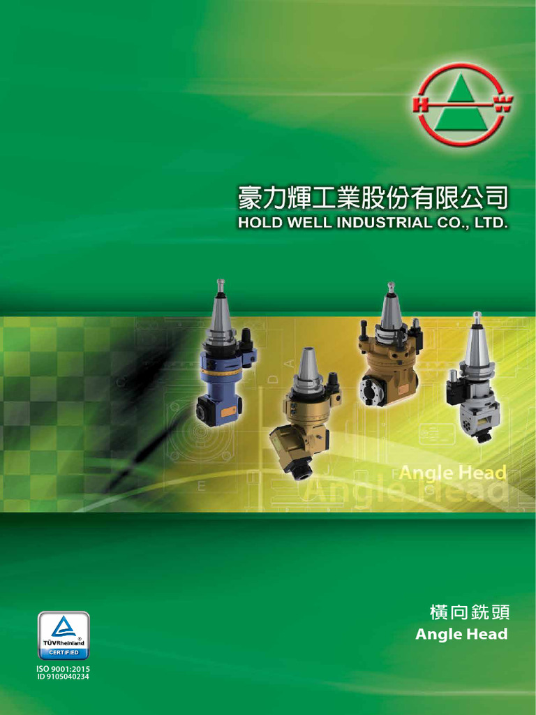 Hold Well Angle Head (2024) | PDF