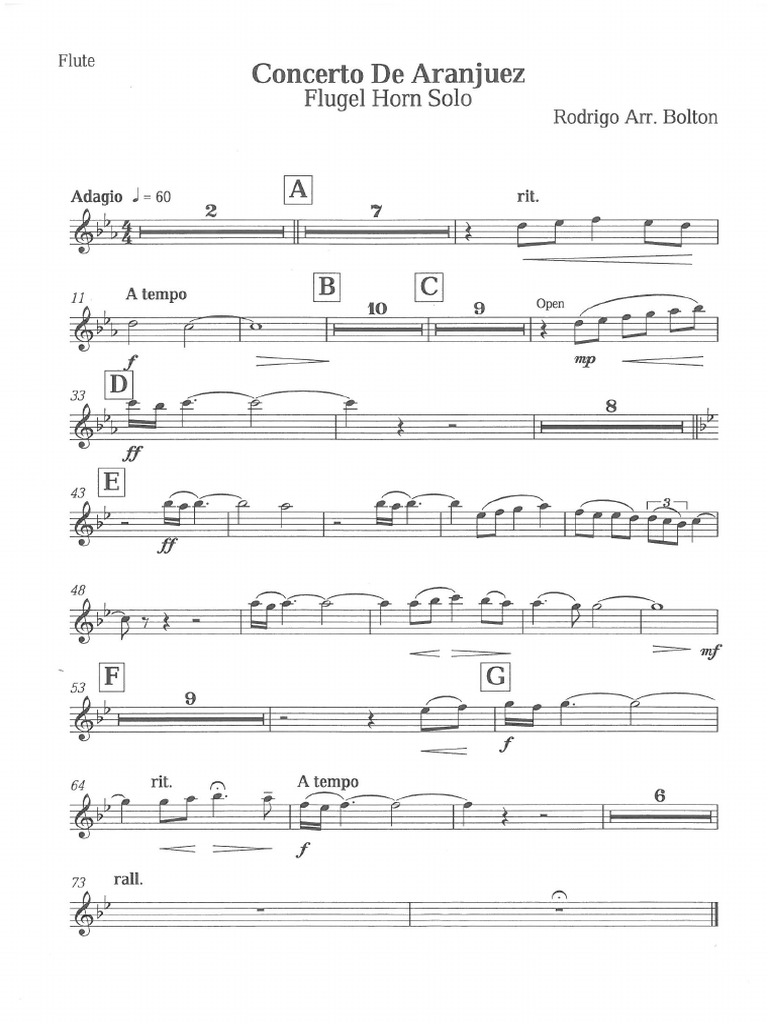Concerto De Aranjuez - Flute | PDF