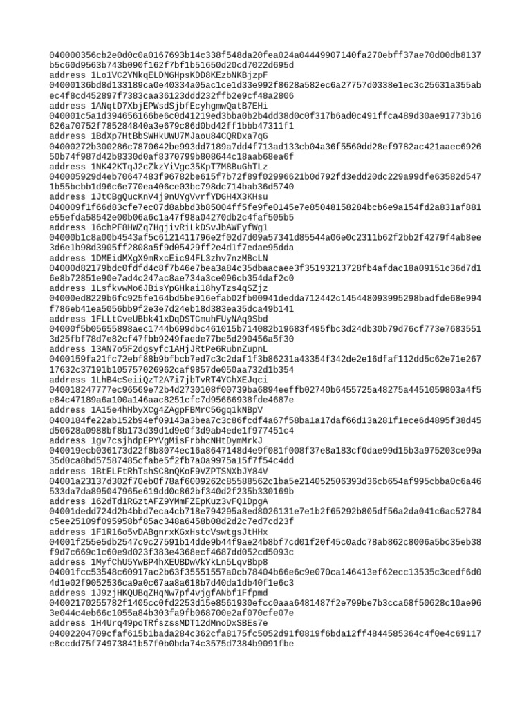 Satoshi Wallet | PDF
