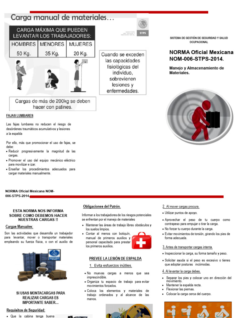 Triptico - Nom-006-Stps | PDF