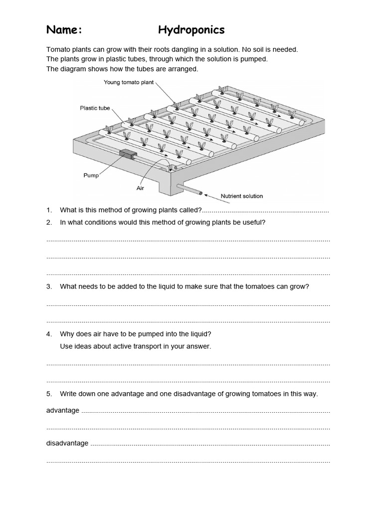 Hydroponics-worksheet | PDF | Hydroponics | Horticulture