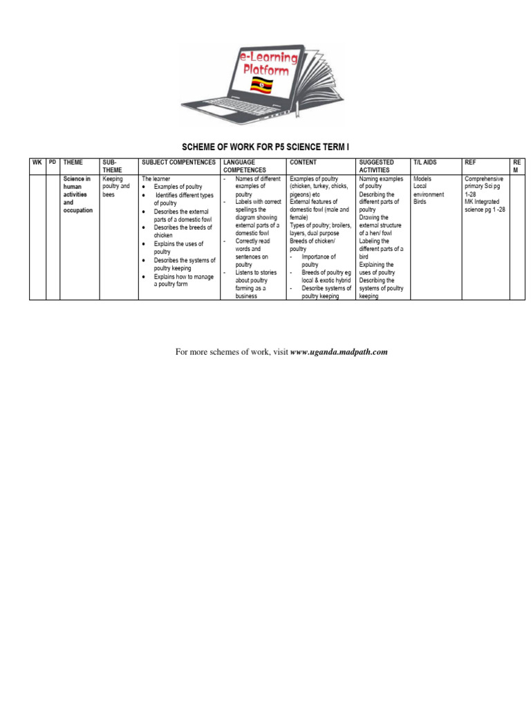 P5 Science Scheme of Work Term 3 | PDF | Density | Weight