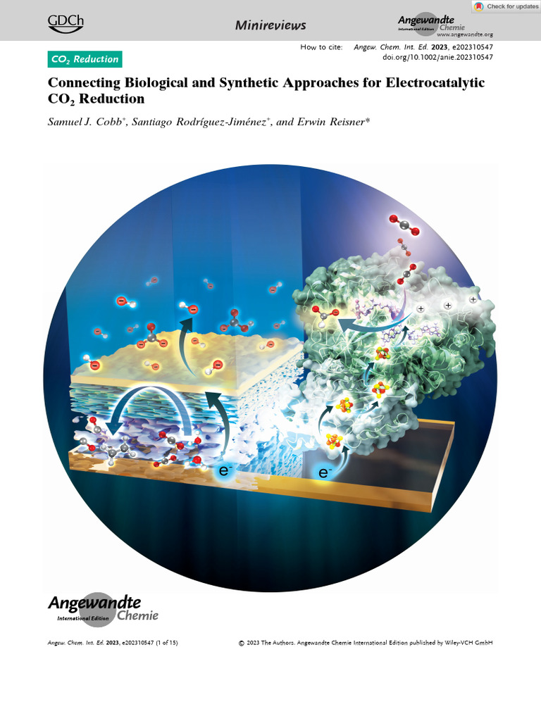 Angew Chem Int Ed - 2023 - Cobb - Connecting Biological and Synthetic Approaches For ...