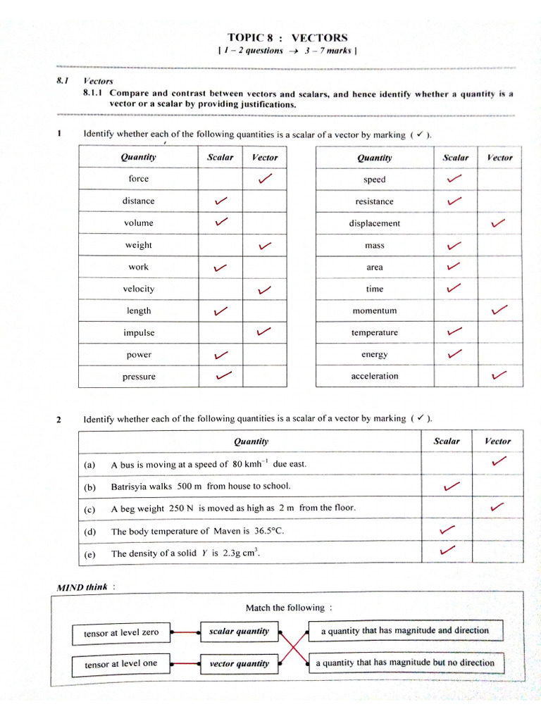 f4 8vectors (Answer) | PDF
