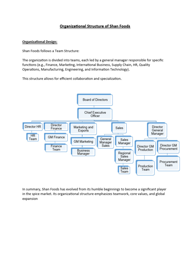 Organizational Structure of Shan Foods | PDF