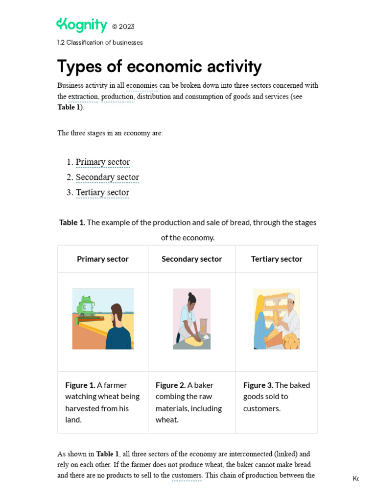 Classsification of Business - Types of Economic Activity | PDF ...