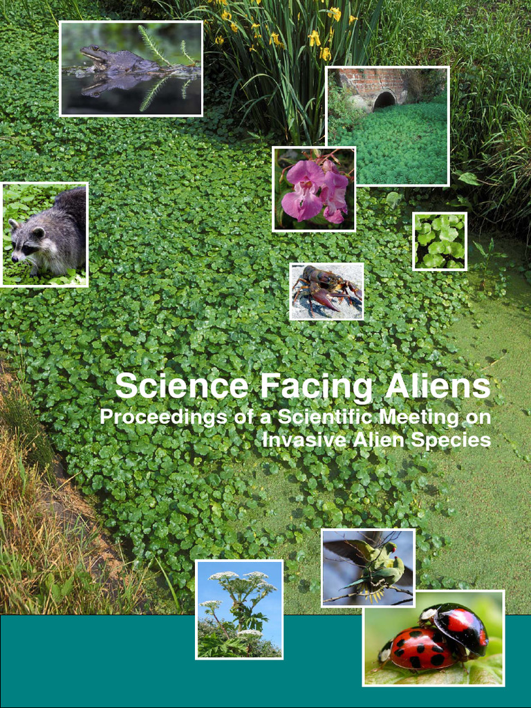 ISEIA a Belgian Non Native Species Asses | PDF | Invasive Species | Birds