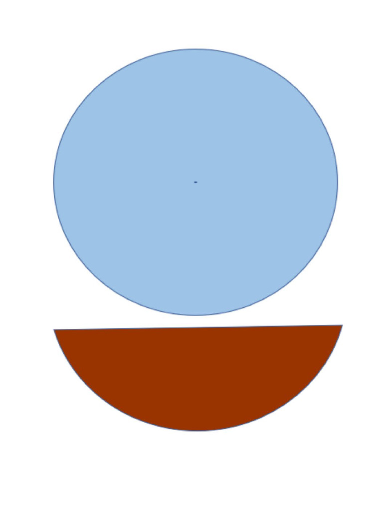 Plating Carrot Template | PDF