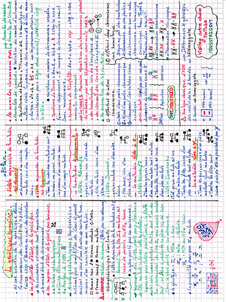 Résumé de La Génétique Humaine 2BAC SVT MOUSSTAID | PDF