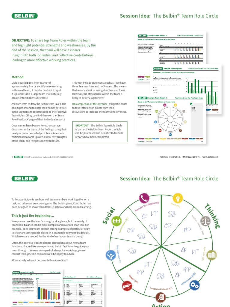 Belbin Team Role Circle | PDF