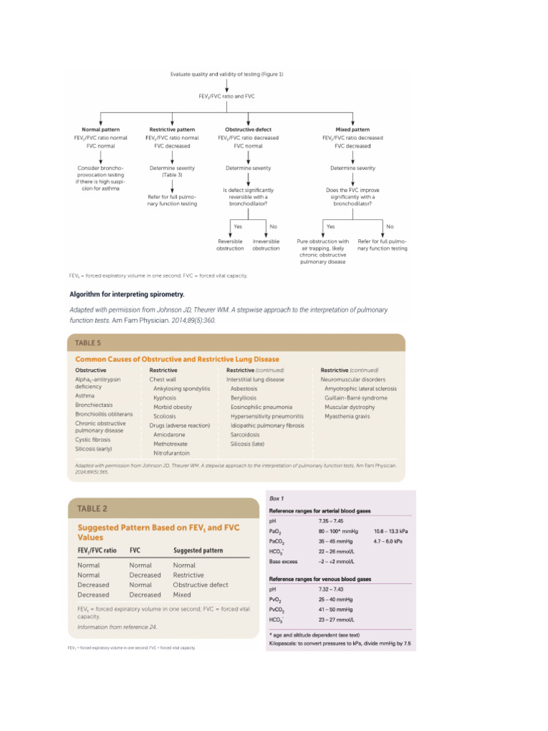 Print PBL Spirometri & BGA | PDF