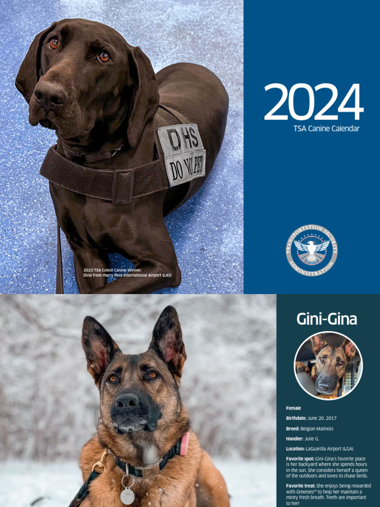 Tsa Canine Calendar 2024 | PDF