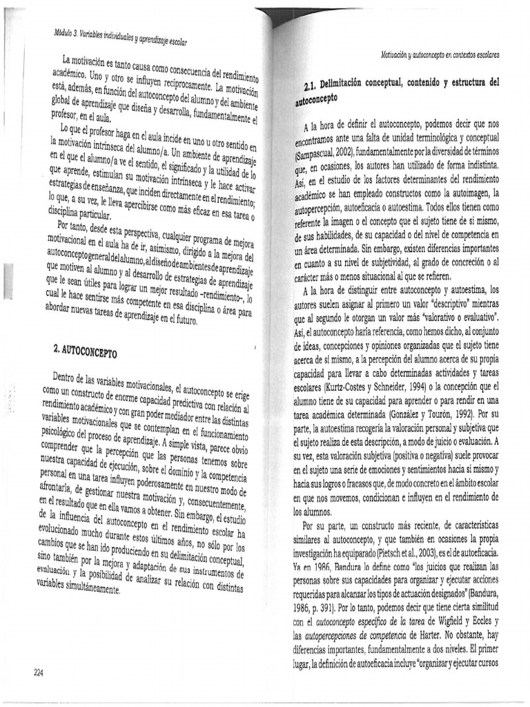 6 - Autoconcepto y Programas | PDF