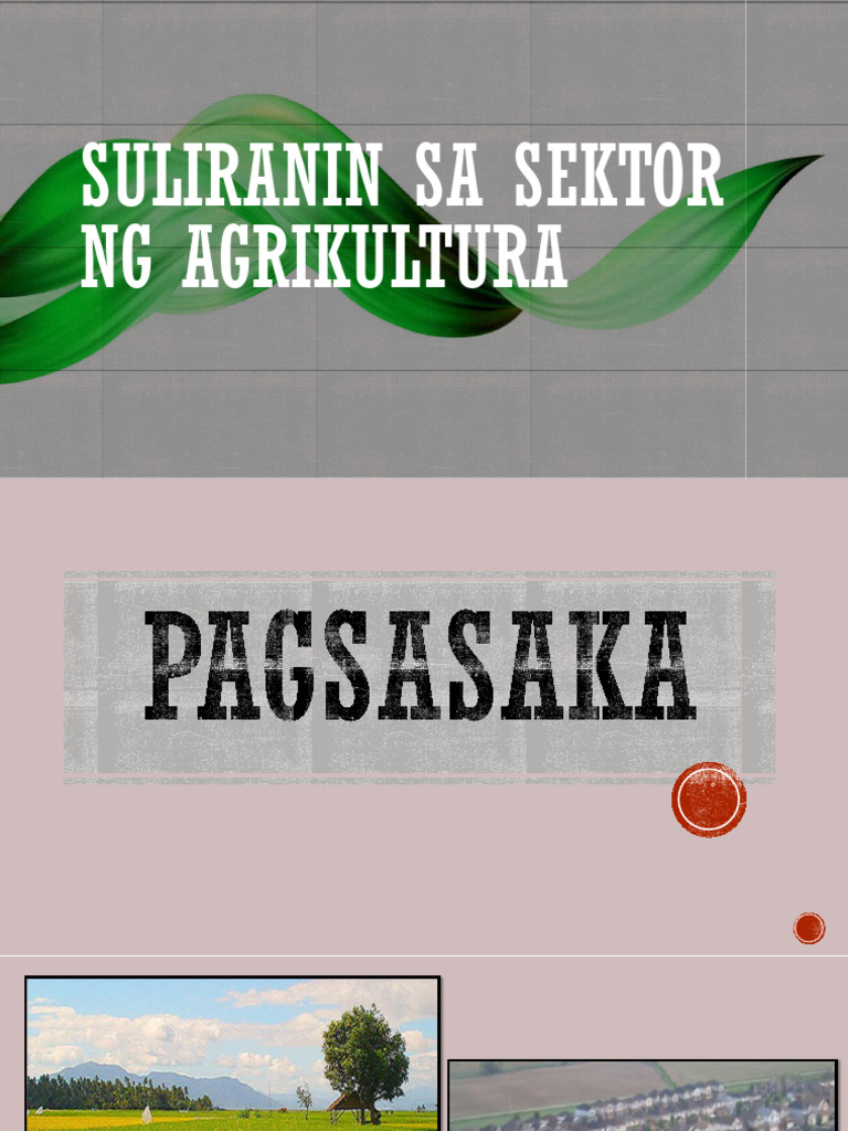 Suliranin-sa-Sektor-ng-Agrikultura Part 20 | PDF