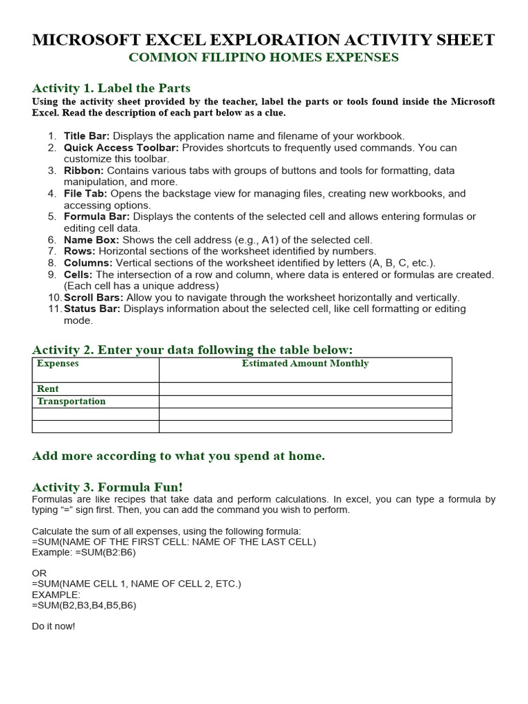 Activity For Excel Exploration | PDF