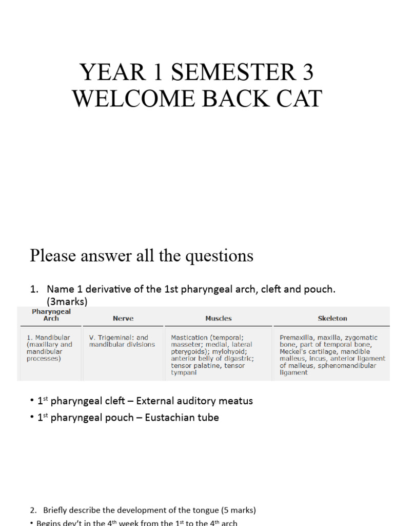 Year 1 Semester 3 Welcome Back Cat | PDF | Tongue | Human Nose