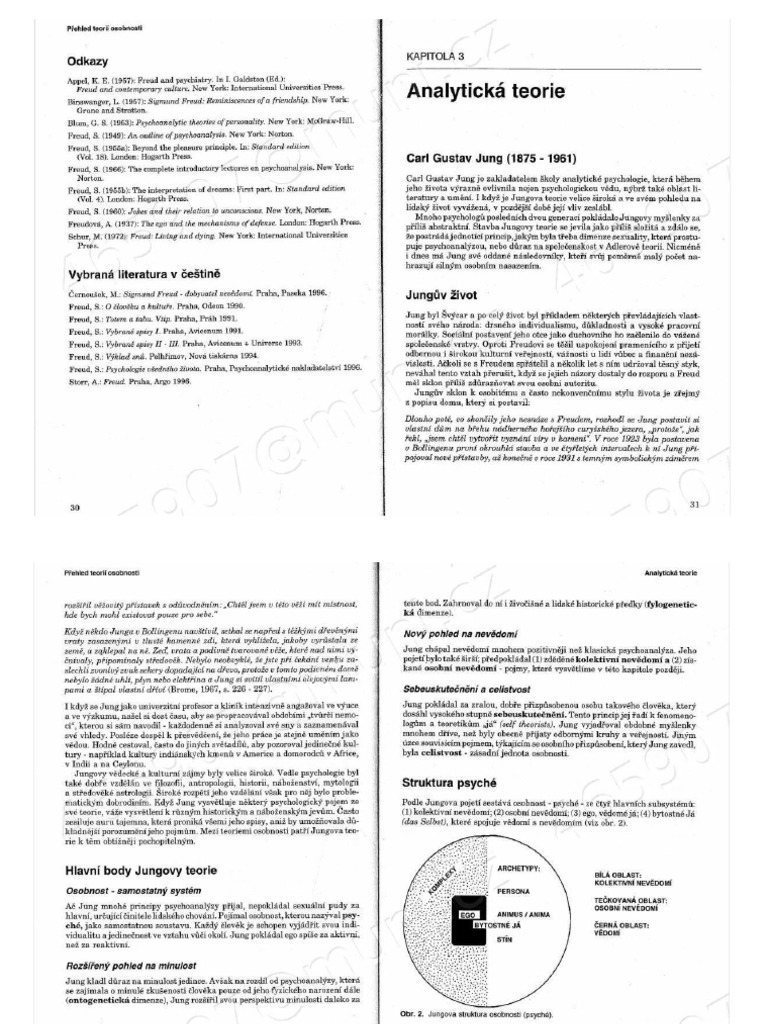 Kapitola 3 - Analytická teorie Carl Gustav Jung | PDF