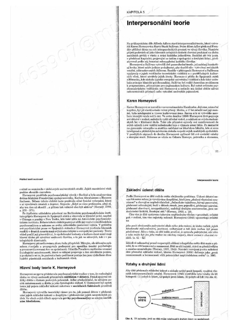 Kapitola 5 - Interpersonální Teorie | PDF
