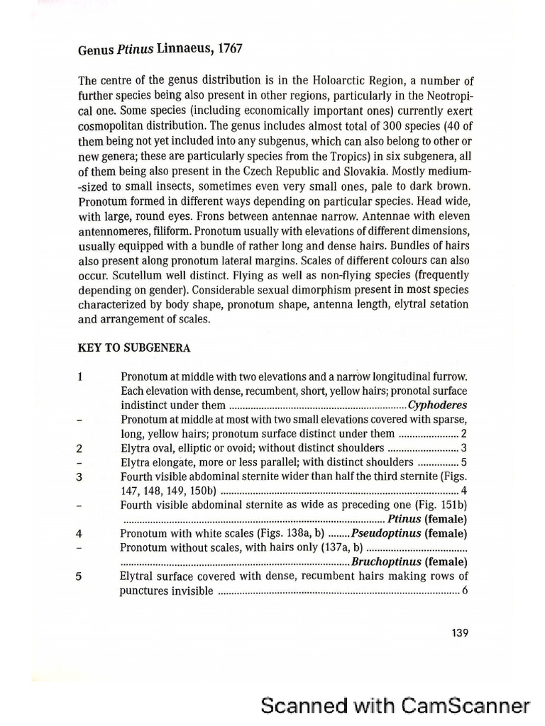 Ptinus 1 | PDF