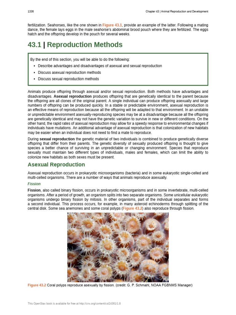 Chapter 43 - Animal Reproduction and Development | PDF | Menstrual ...