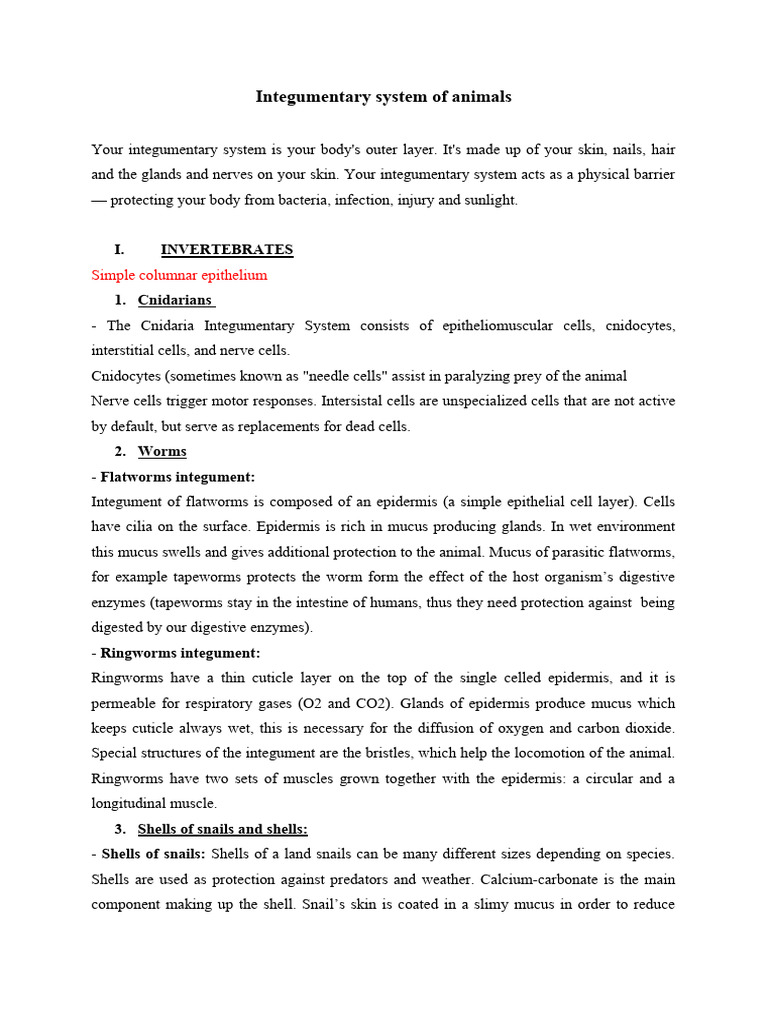 Integumentary System of Animals | PDF | Skin | Integumentary System