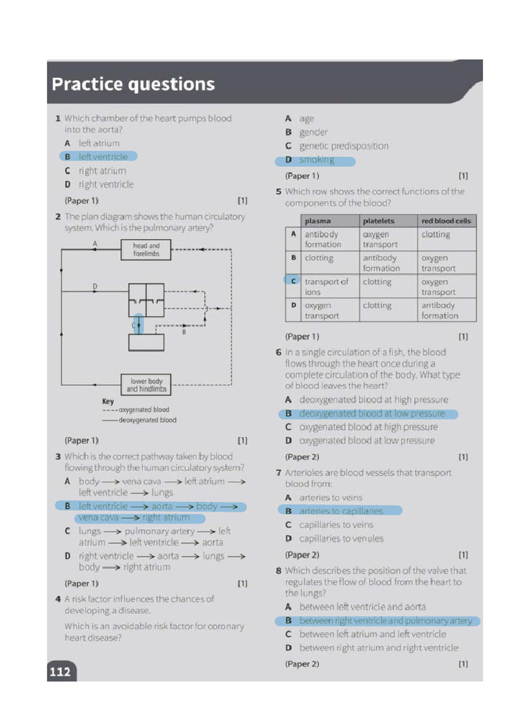 Check Your Progress Transport in Animals | PDF | Artery | Vein