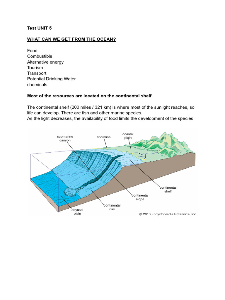 Test UNIT 5 | PDF | Overfishing | Oceans