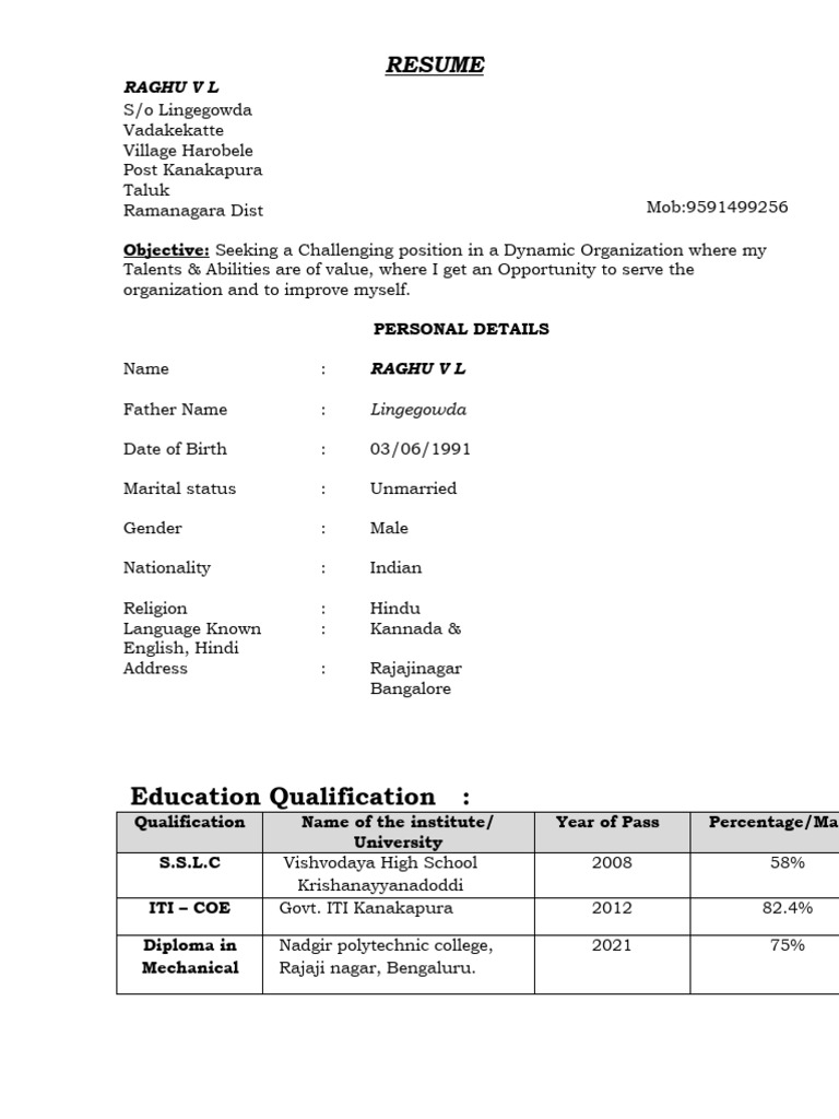 Raghu V Resume | PDF | Business