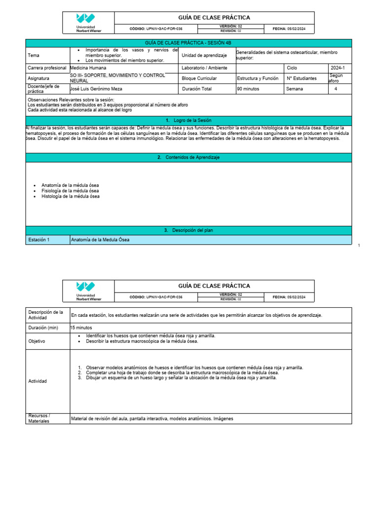 Guia de Practica SO III CUARTA SEMANA-SEGUNDA SESION | PDF | Hueso | Médula ósea